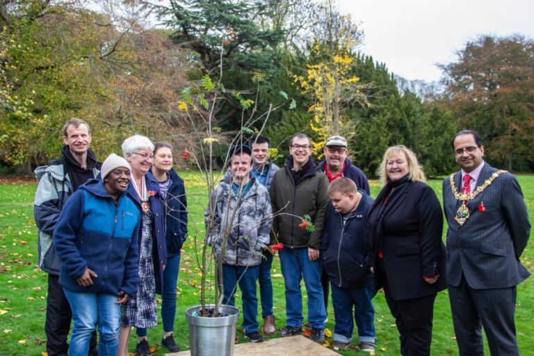 Tree of Trees Gifted from the Queen’s Green Canopy - Wentworth Woodhouse