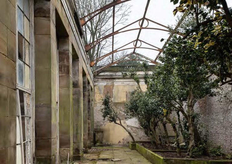 Restored and Reimagined... The Camellia House Blooms Again - Wentworth ...