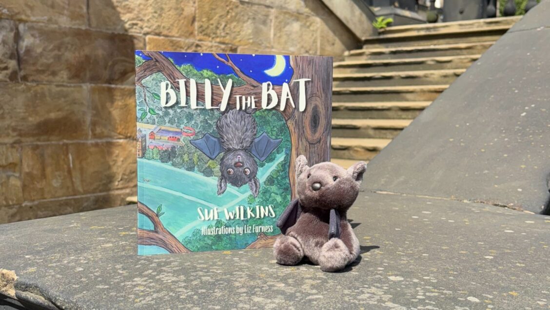 Billy the Bat Swoops into the Big House - Wentworth Woodhouse
